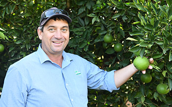 Top results from new citrus insecticide