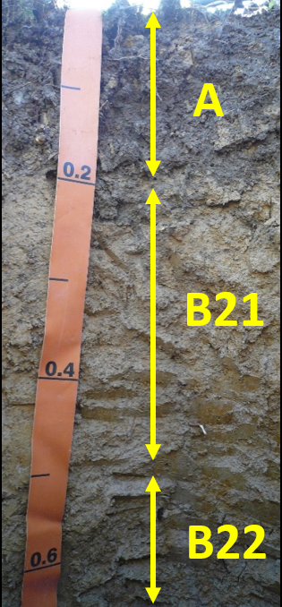 Soil characterisation in Australian apple orchards