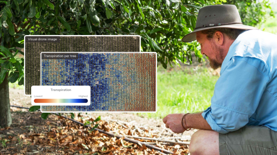 Growers using drones to make every drop count