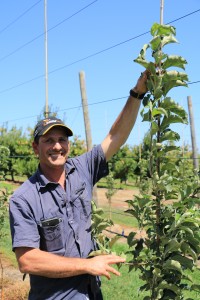 Trees take off on pre-planting treatment