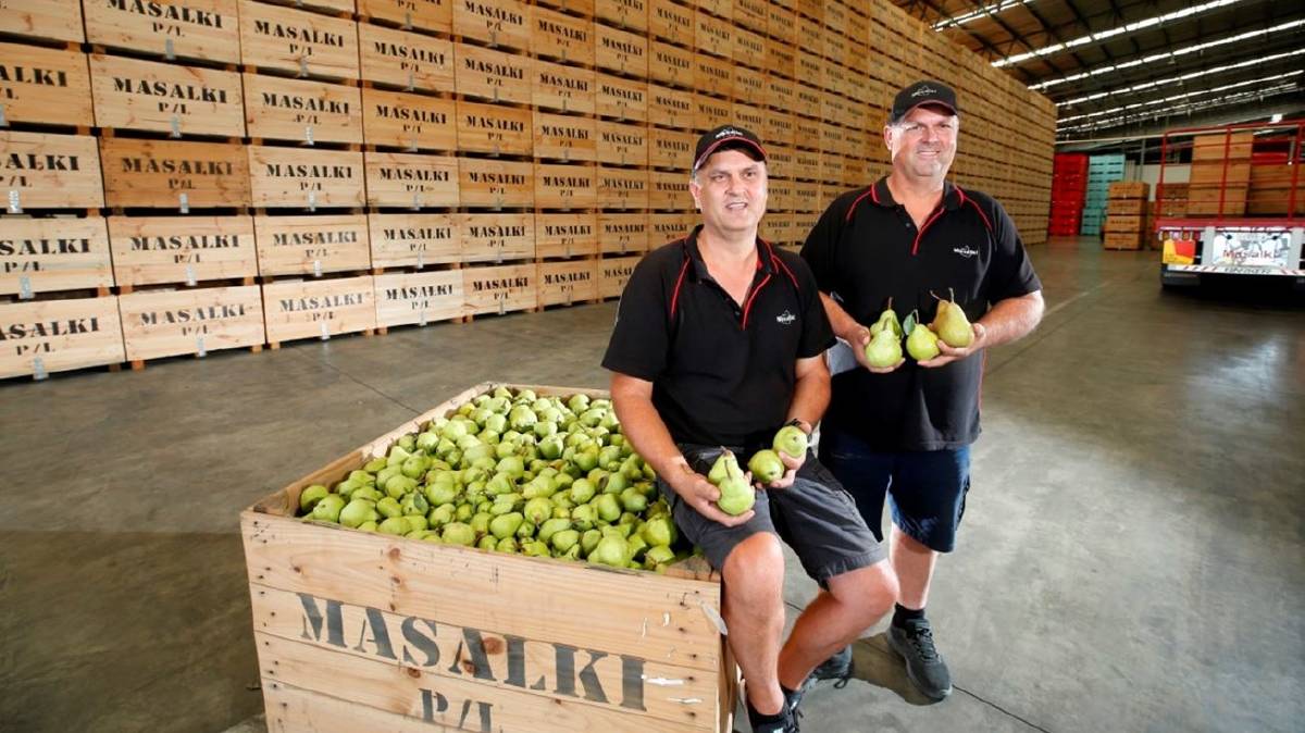 Coles Nurture Fund lets pear growers invest in new cool room technology