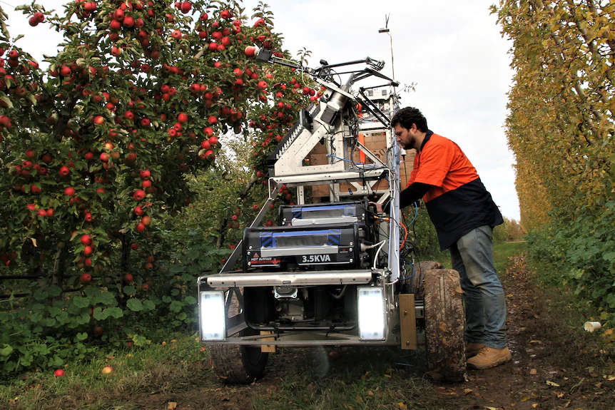 Robot fruit picker to help tackle labour shortages