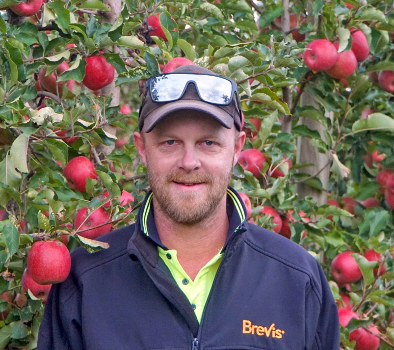 Apple fruit thinning benefits too great to ignore