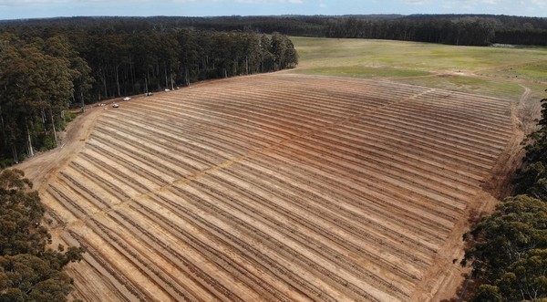 Feasibility study for 300-hectare avocado project completed