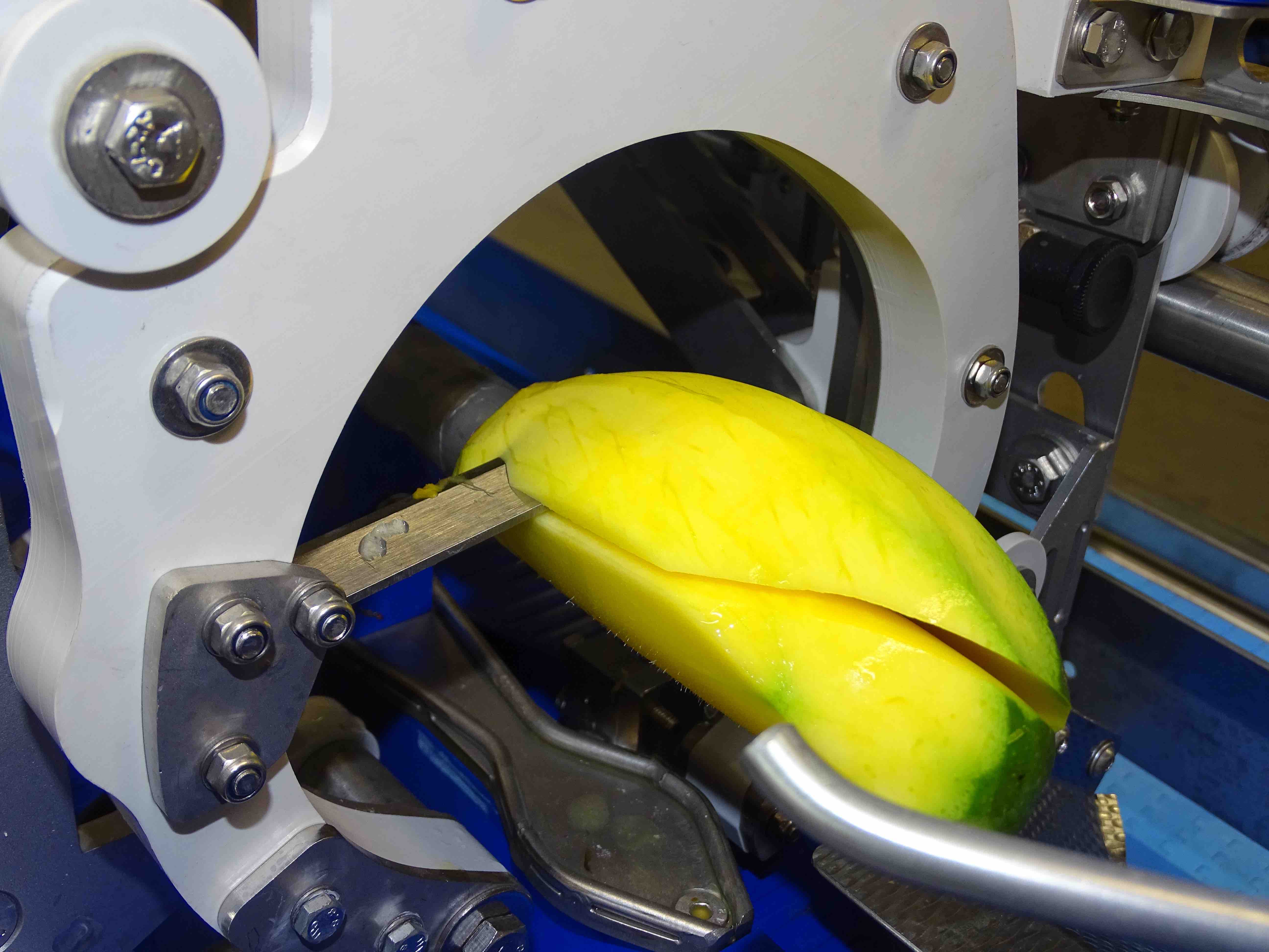 Breakthrough in mango processing