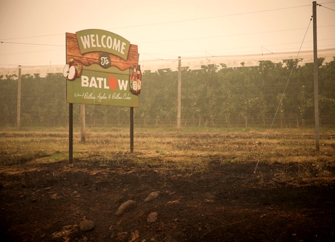 Batlow Counting the Cost