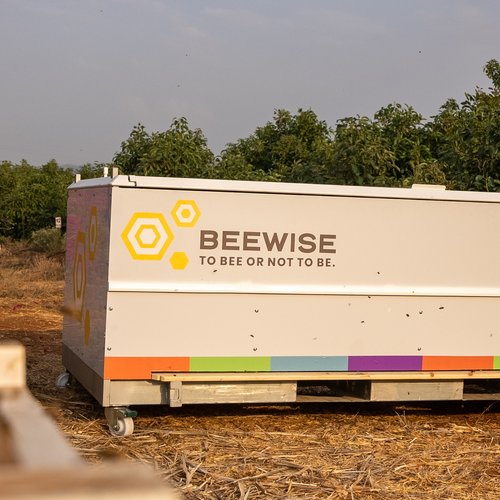 Bee a farming success