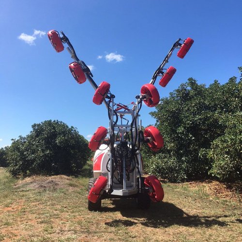 Know your pest | Australian Tree Crop Magazine