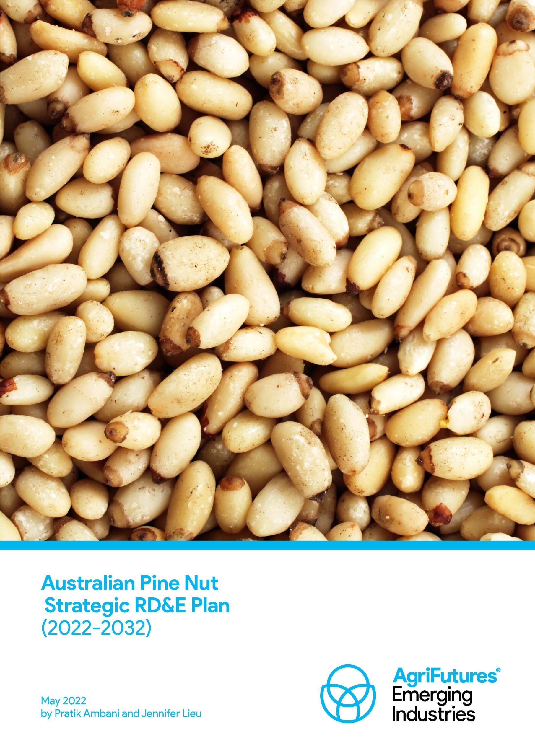 Australian pine nut strategic RD&E plan