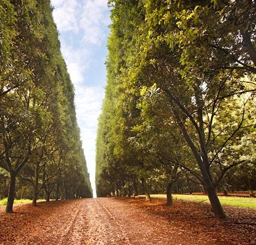 GreenTech - sprayers for all seasons