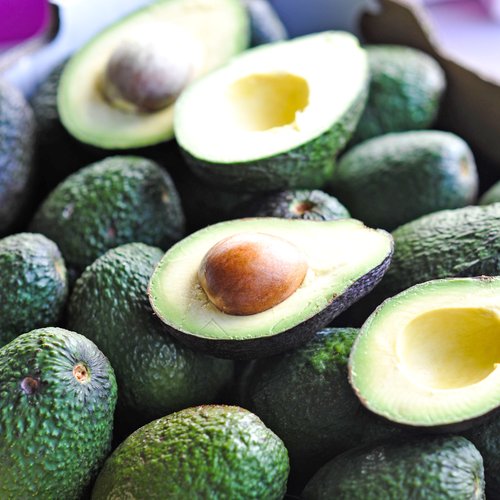 Guide to plant sampling on Fertcare site