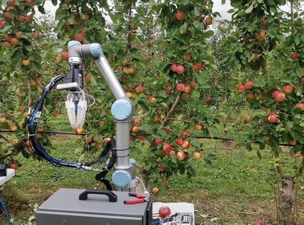 Apple harvesting robot plucks a piece of fruit every seven seconds