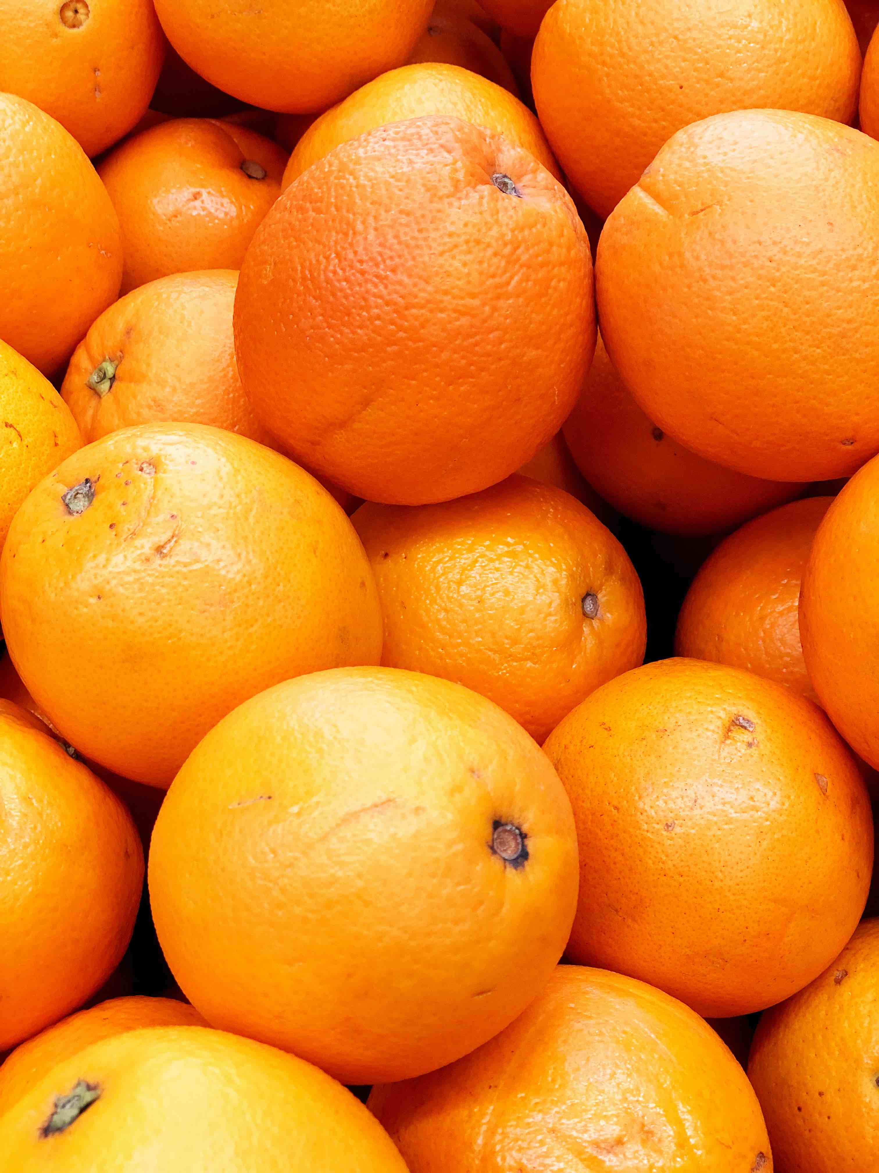 HLB tolerant rootstocks arrive in Australia