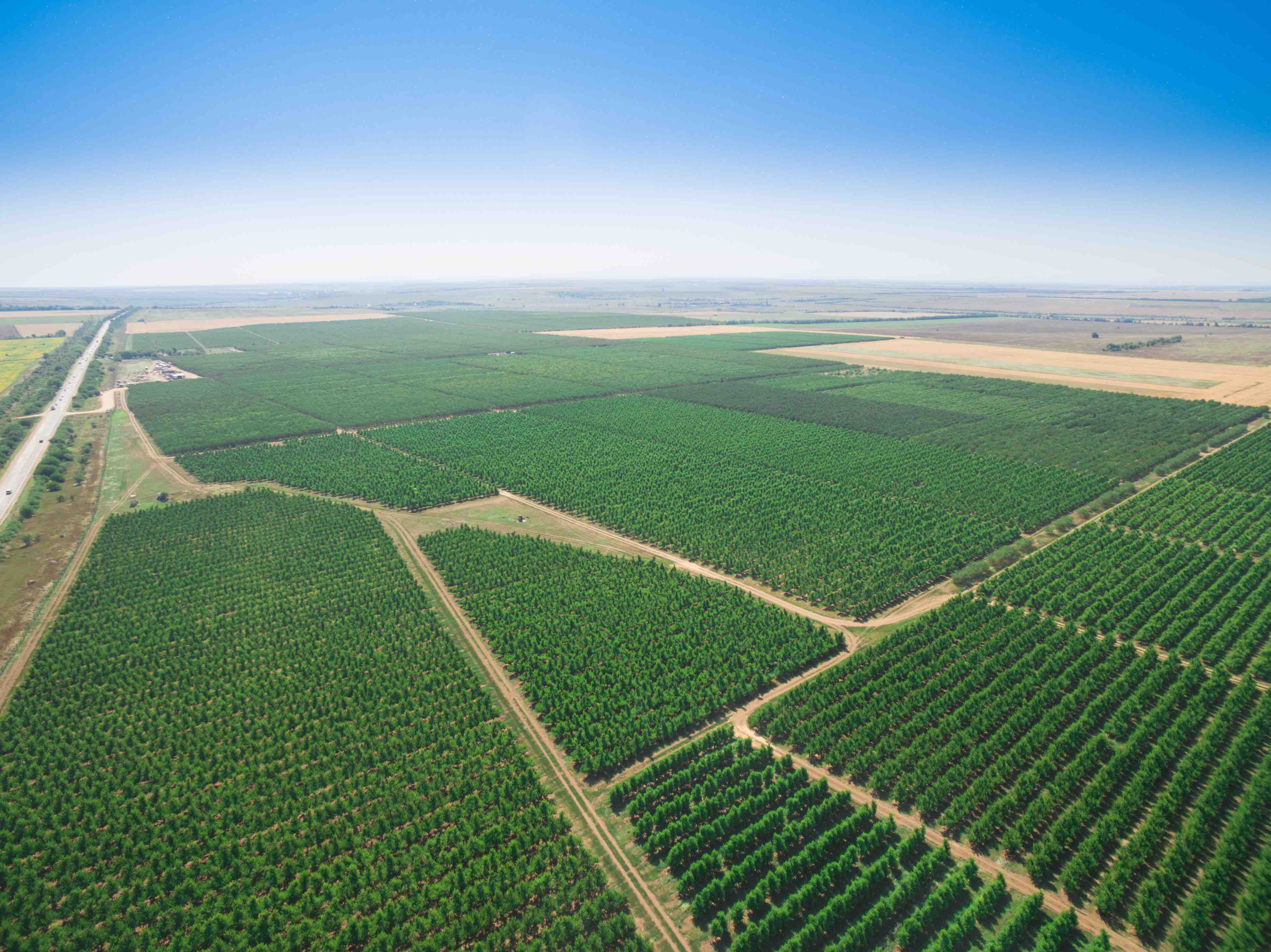 ABARES says horticulture to reach $12 billion for 2021-22