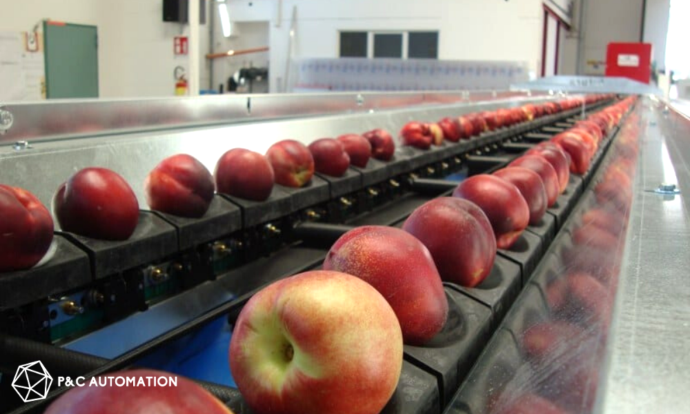 Labour automation now crucial for producers