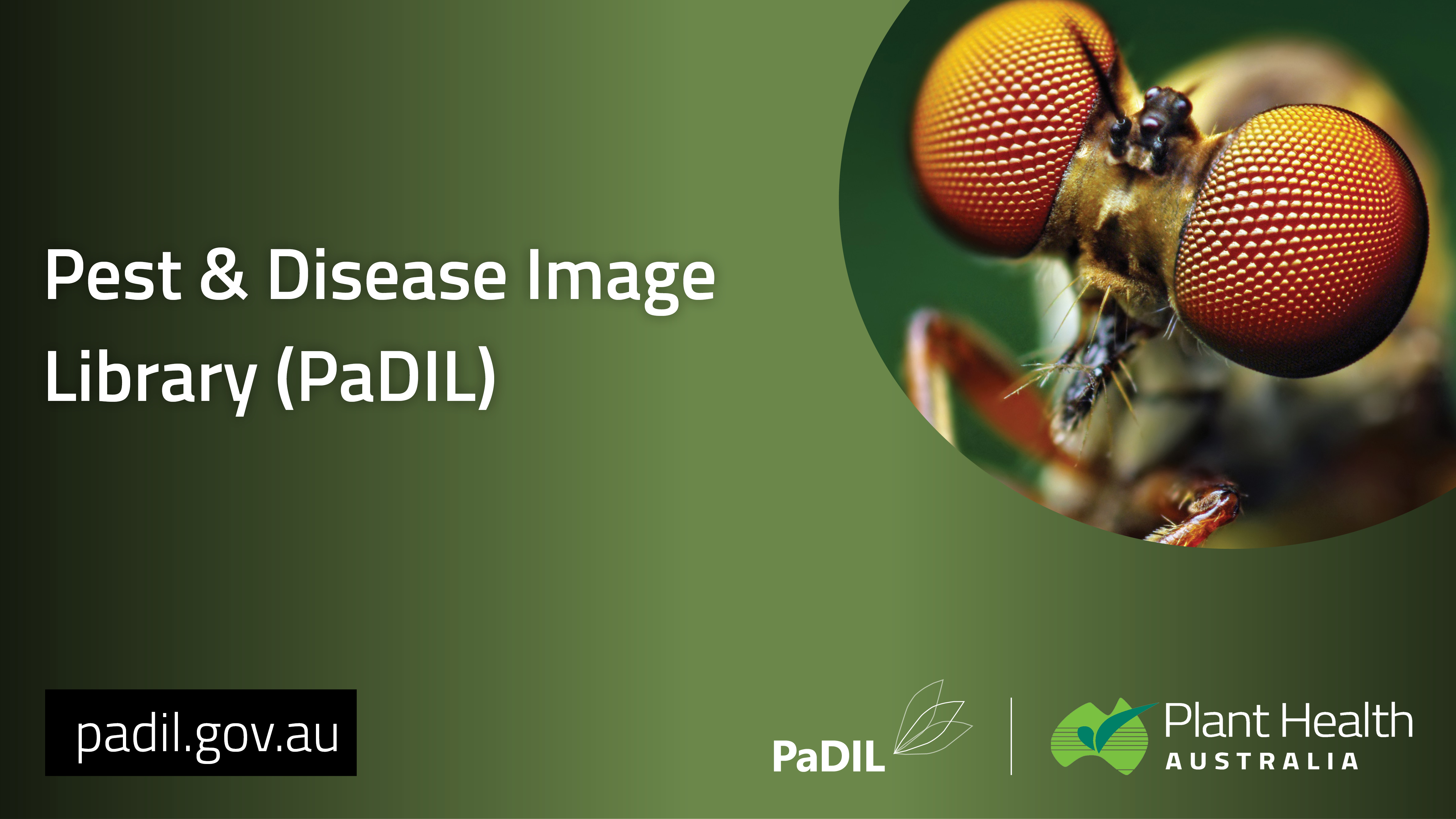 Improving Australia’s biosecurity toolkit