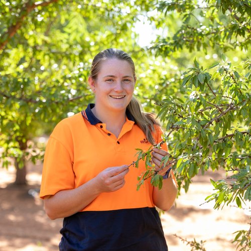 Almonds | Australian Tree Crop Magazine