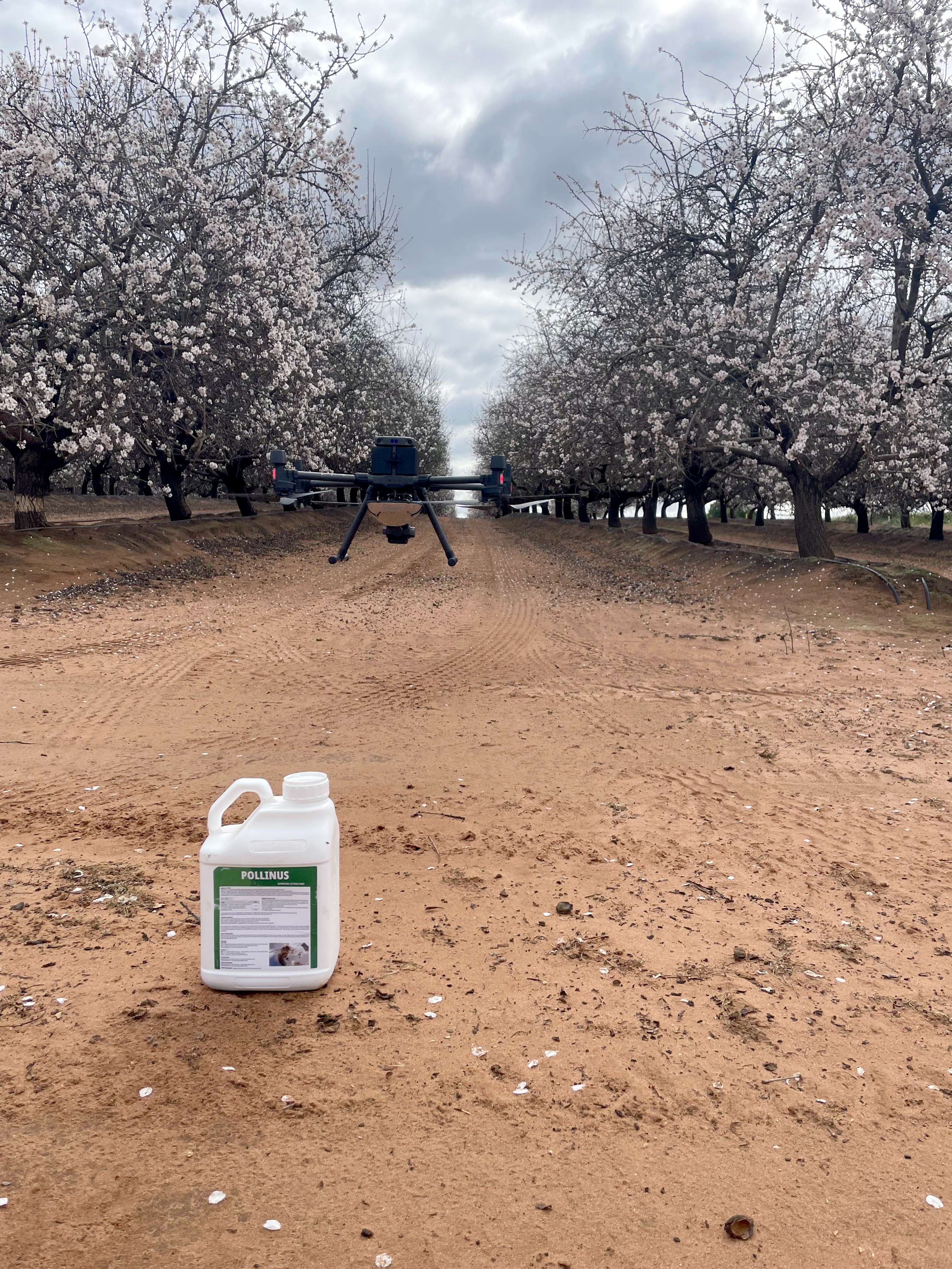 Pollinus increases yields