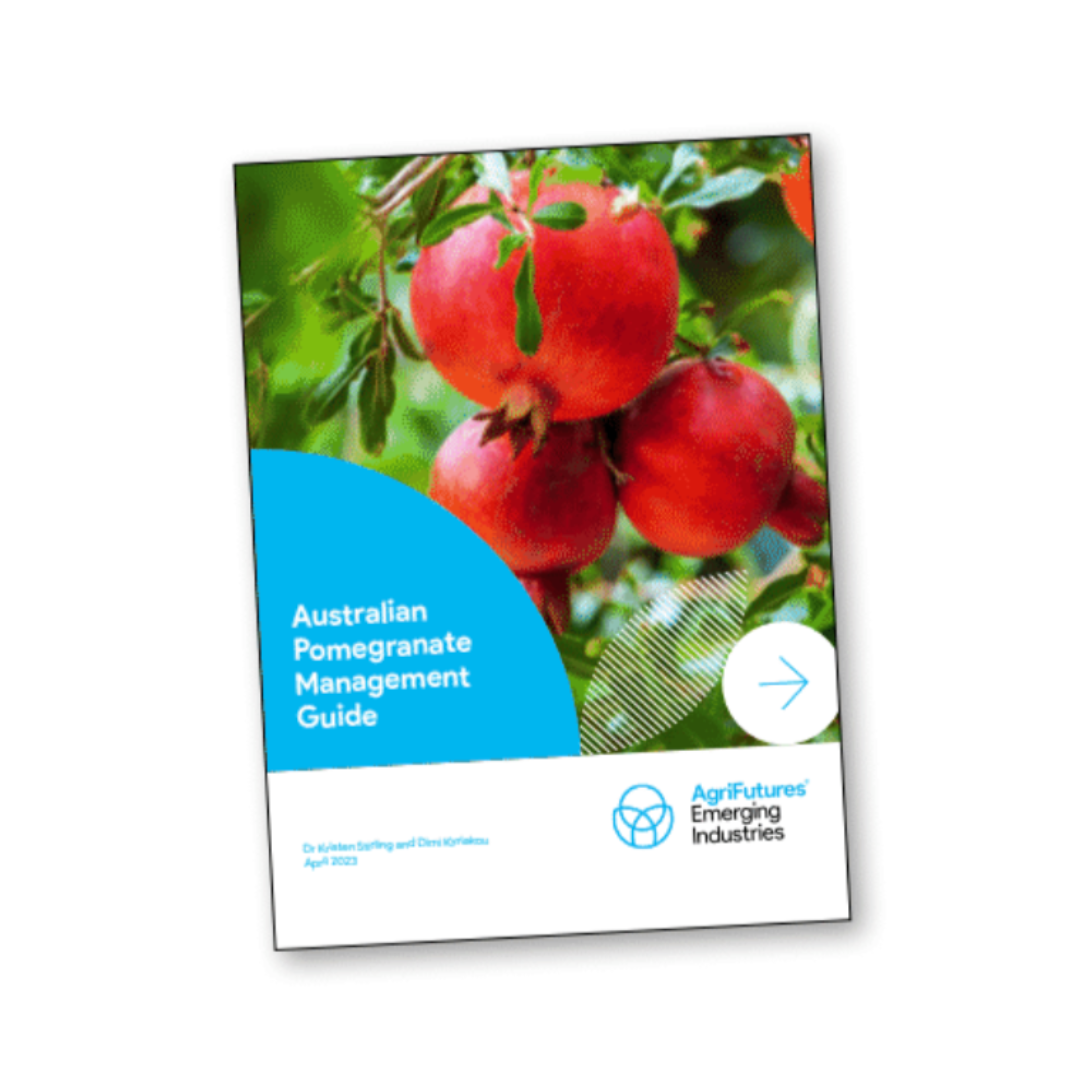 Unleashing Pomegranate production management guide