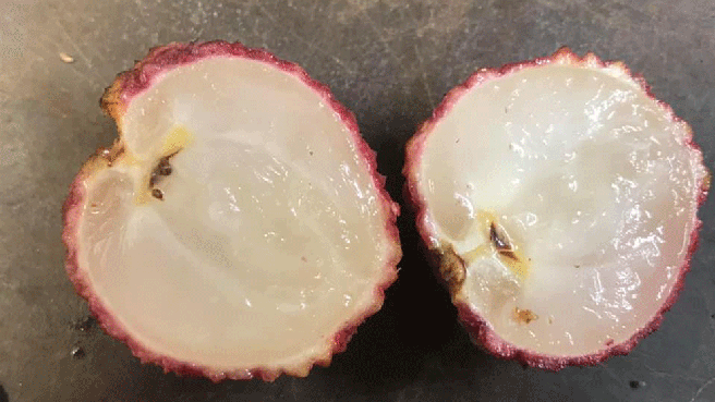 Is this the first ever seedless lychee?