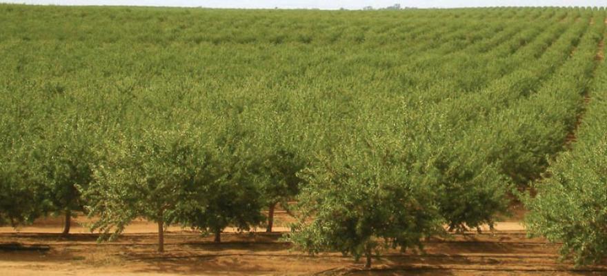 Helping farmers while boosting economies in our region