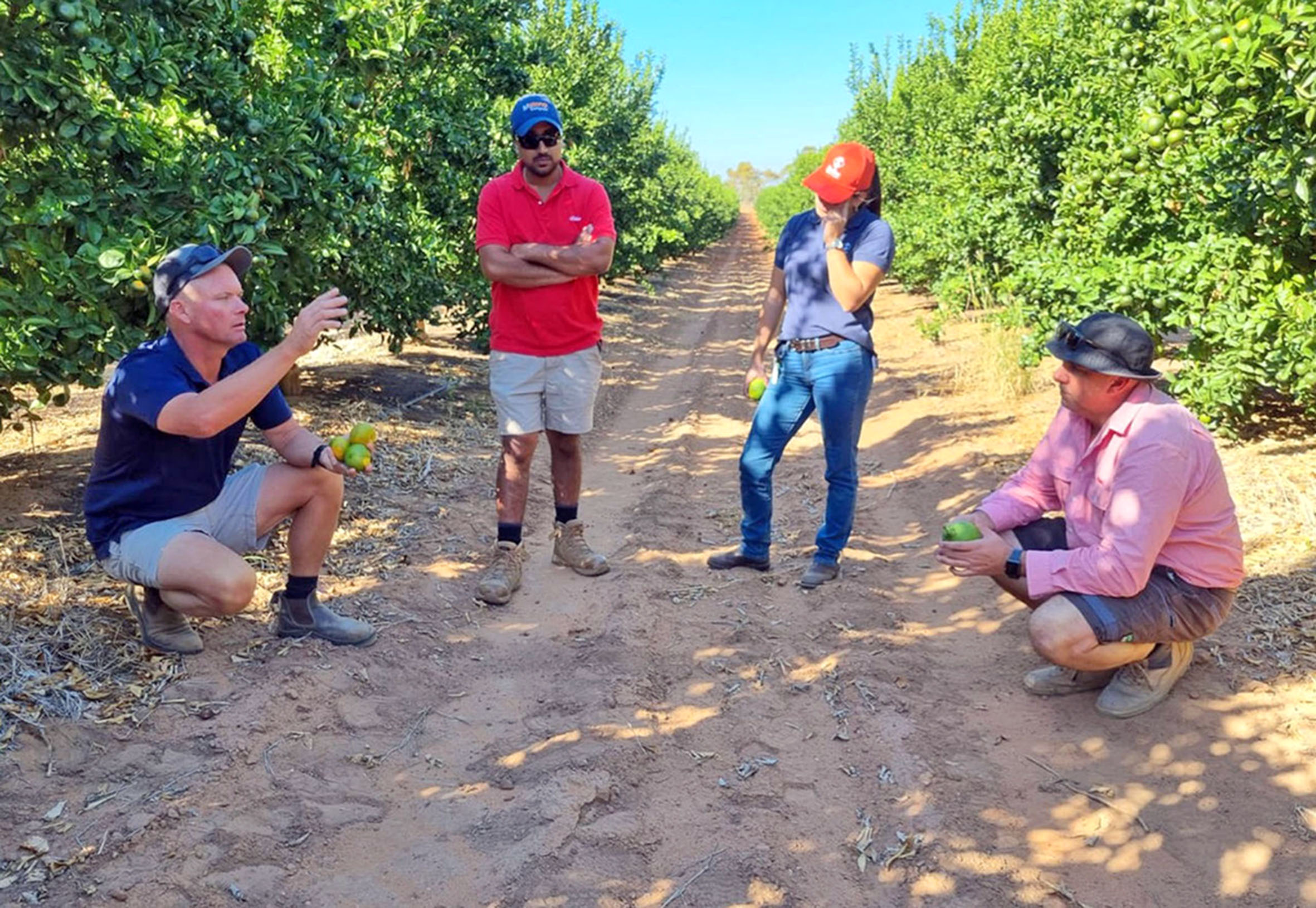 Stoller Integrated Solutions help growers